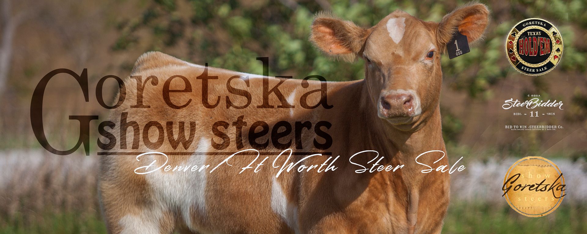 Steer Bidder | Online Cattle Sales